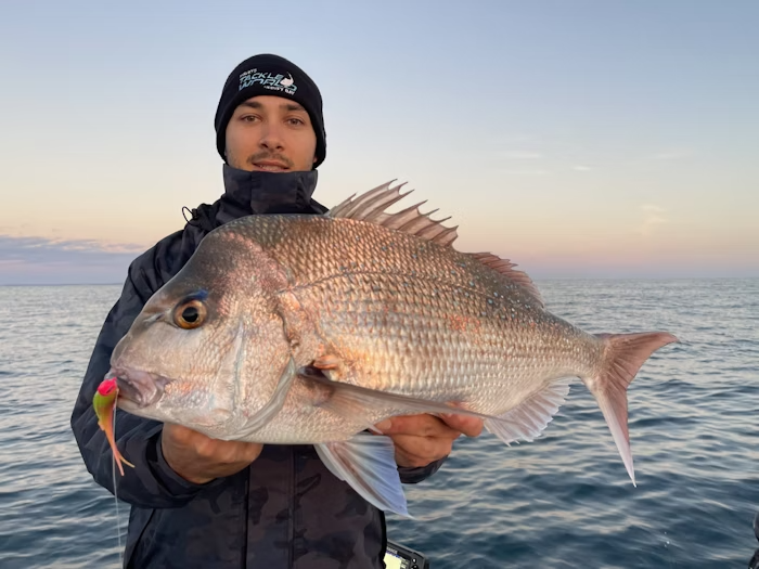 Master the Art of Snapper Fishing: Techniques, Tackle, and Time-tested ...