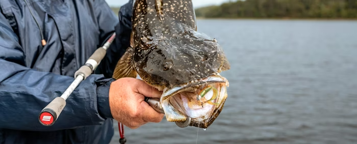 Land-Based Flathead Fishing: Expert Tips from Tackle World – Tackle World