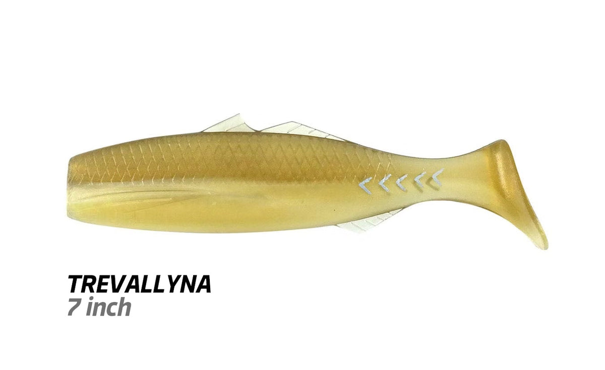 Jackson Trevallyna 4 inch Soft Plastics – Tackle World