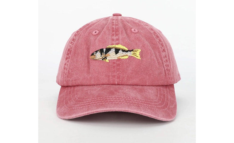 Pallion Point Footballer Fish Lid – Tackle World